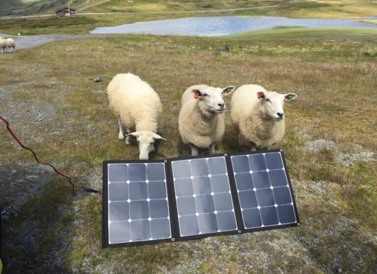 Soltaske EFTE 135W sammenklappeligt solmodul med MPPT lader